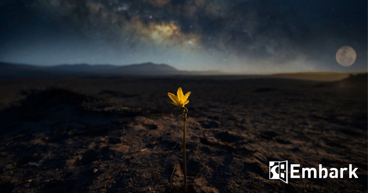 Trauma Treatment in Arizona - Find Help Now | Embark Recovery